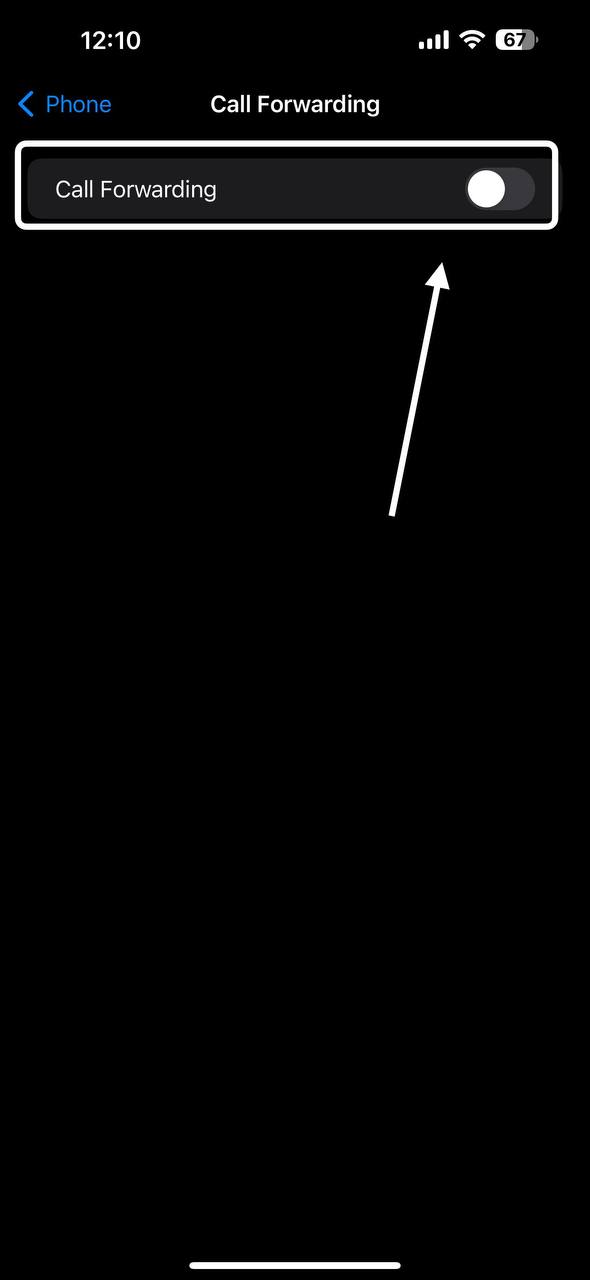 How to Forward Calls on iPhone? (iOS 17)